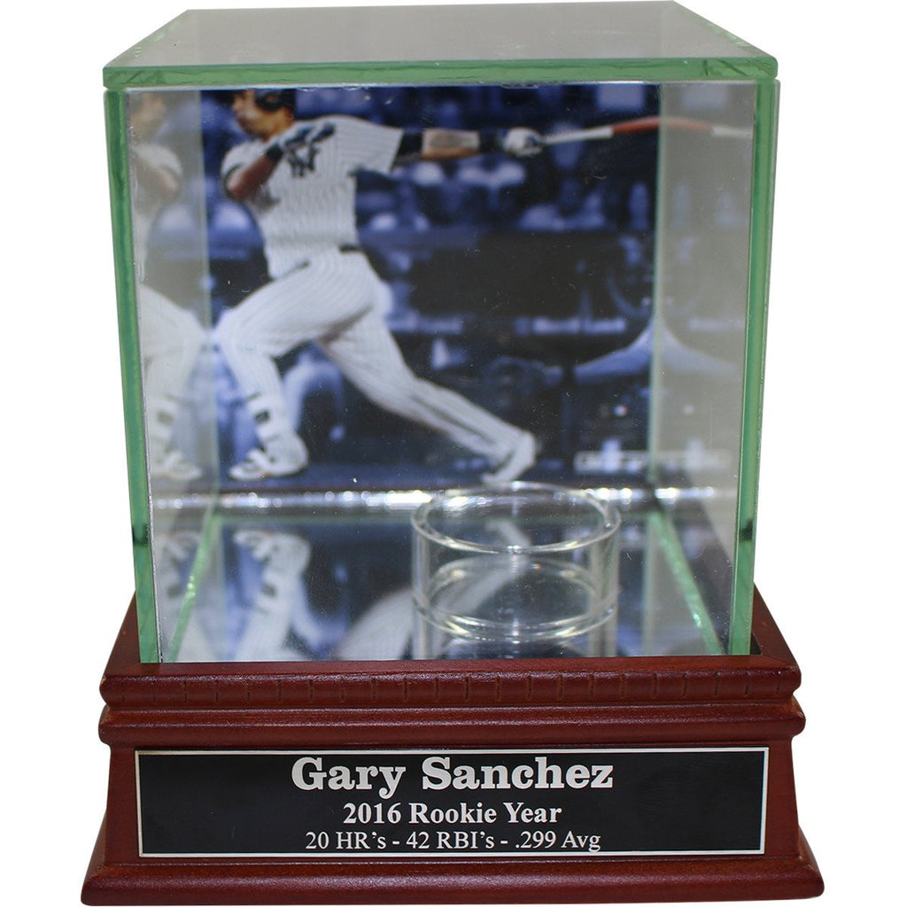 Gary Sanchez Background Glass Single Baseball Case w/ Rookie Stats Nam ...