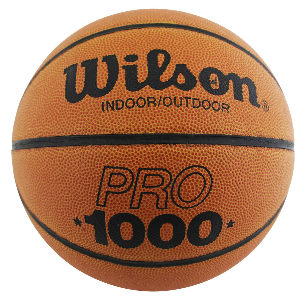 Celtics Danny Ainge Signed Wilson Indoor/Outdoor Basketball BAS #BU551 ...