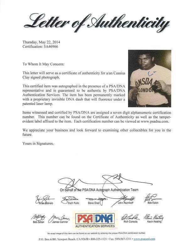 Muhammad Ali Signed 'Cassius Clay' Authentic 11X14 Photo PSA/DNA ITP ...