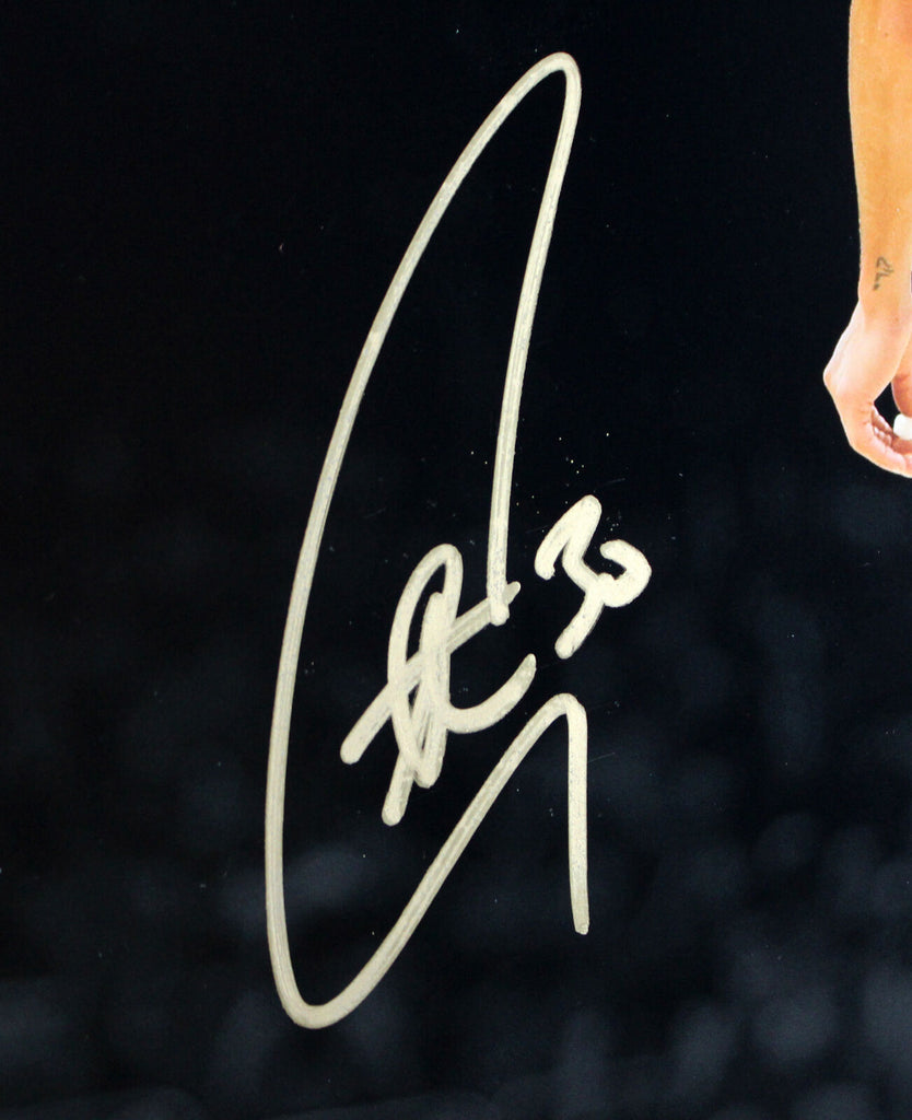 Warriors Stephen Curry Authentic Signed 16x20 Horizontal Spotlight Pho ...